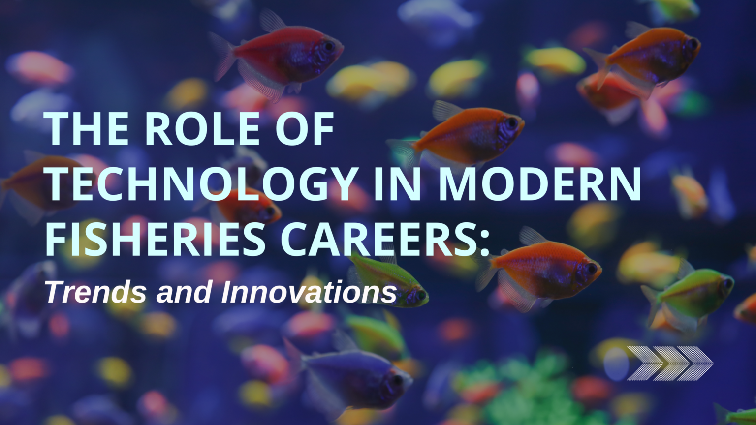The Role of Technology in Modern Fisheries Careers: Trends and ...